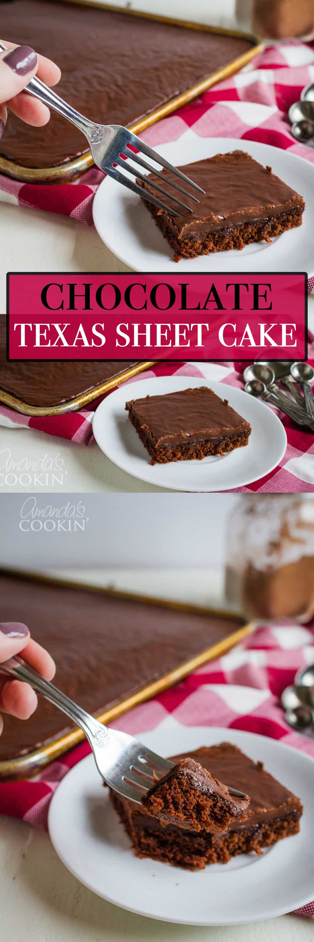 Texas Sheet Cake: Fudgy chocolate cake you will love