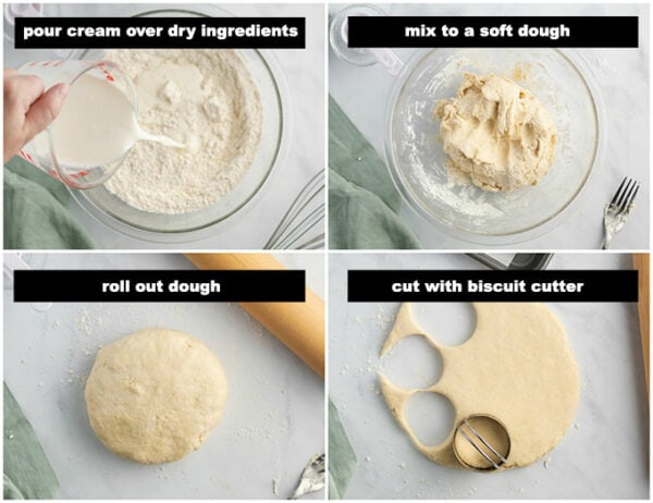 Homemade Biscuits Recipe - Amanda's Cookin'