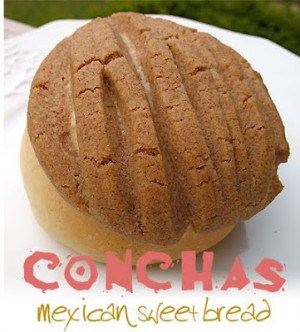 Conchas - Mexican Sweet Bread - Amanda's Cookin'