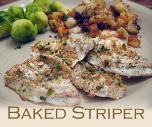 Baked Striper (Striped Bass) - Amanda's Cookin'