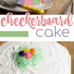 Checkerboard Cake: the perfect colorful cake for Easter!