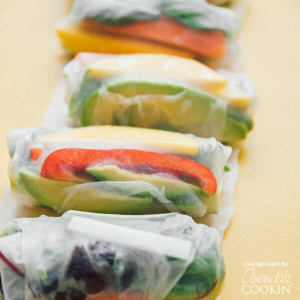 Vegetable Spring Rolls: fresh in-season veggies wrapped in a spring roll