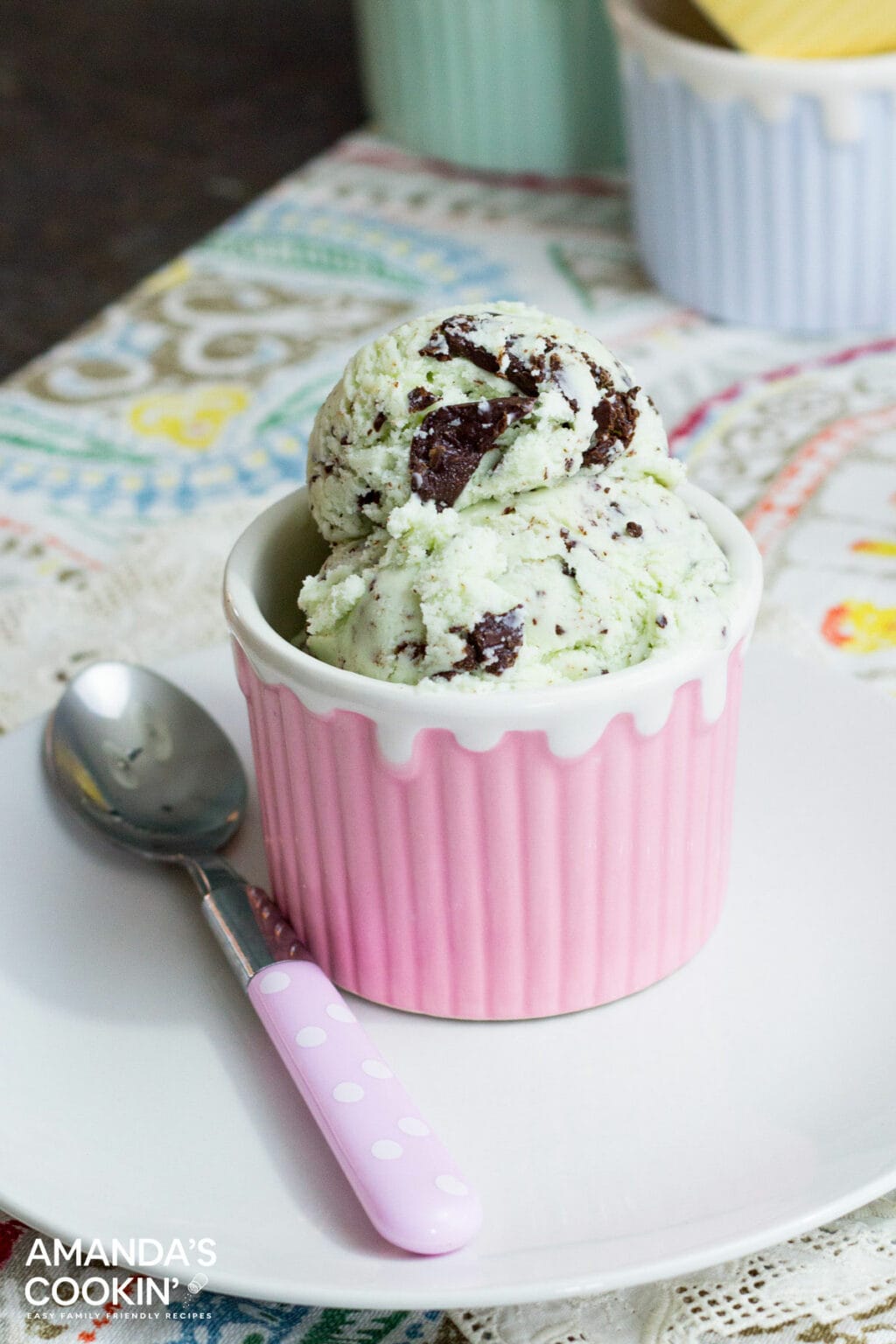 Mint Chocolate Chip Ice Cream: dreamy, creamy, mint ice cream!