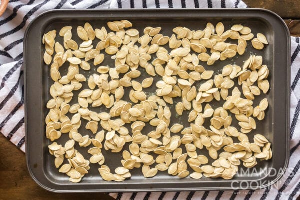 Roasted Pumpkin Seeds - Amanda's Cookin' - Other Snacks