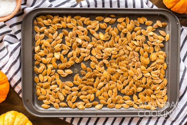 Roasted Pumpkin Seeds - Amanda's Cookin' - Other Snacks