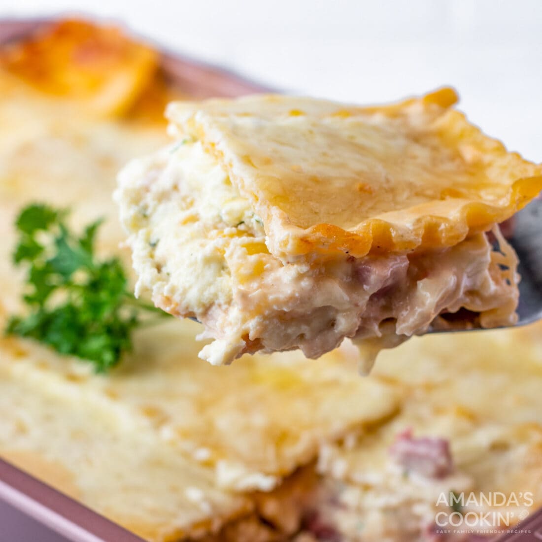 Italian Lasagna: Creamette back of the box recipe for Italian Lasagna