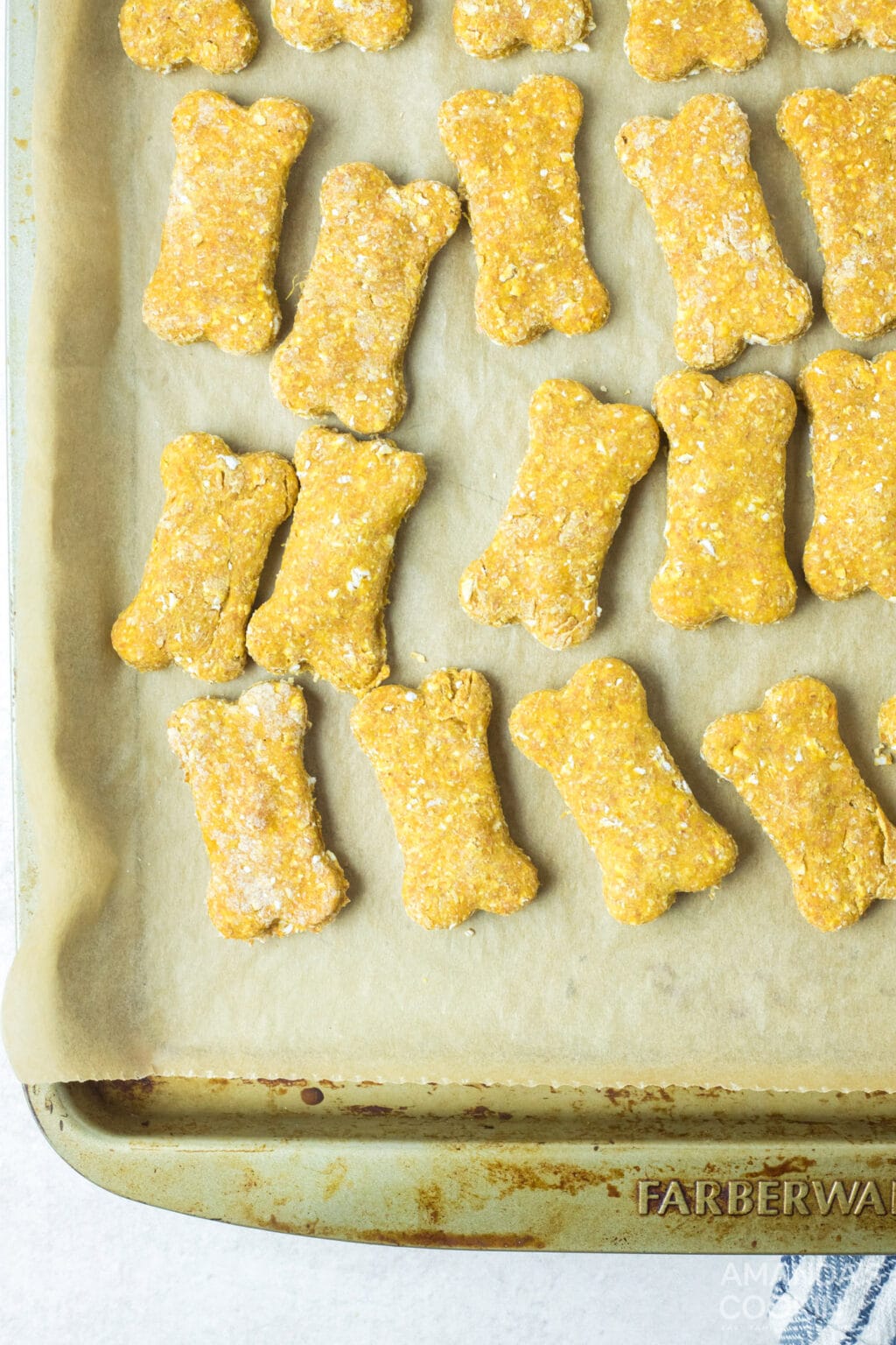 Homemade Dog Treats - Amanda's Cookin' - Other Snacks