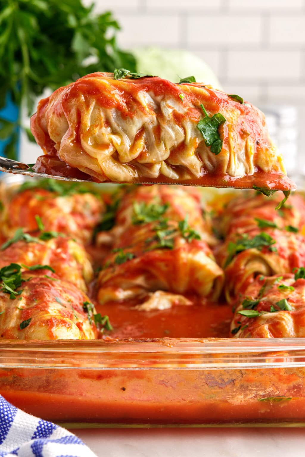 Cabbage Rolls - Amanda's Cookin' - Casseroles