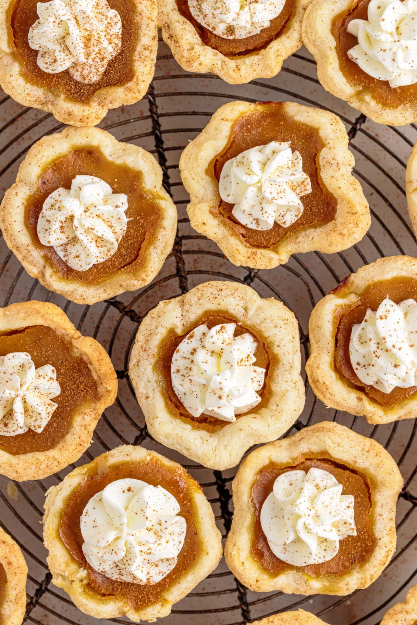 Mini Pumpkin Pies - Amanda's Cookin' - Pies & Tarts