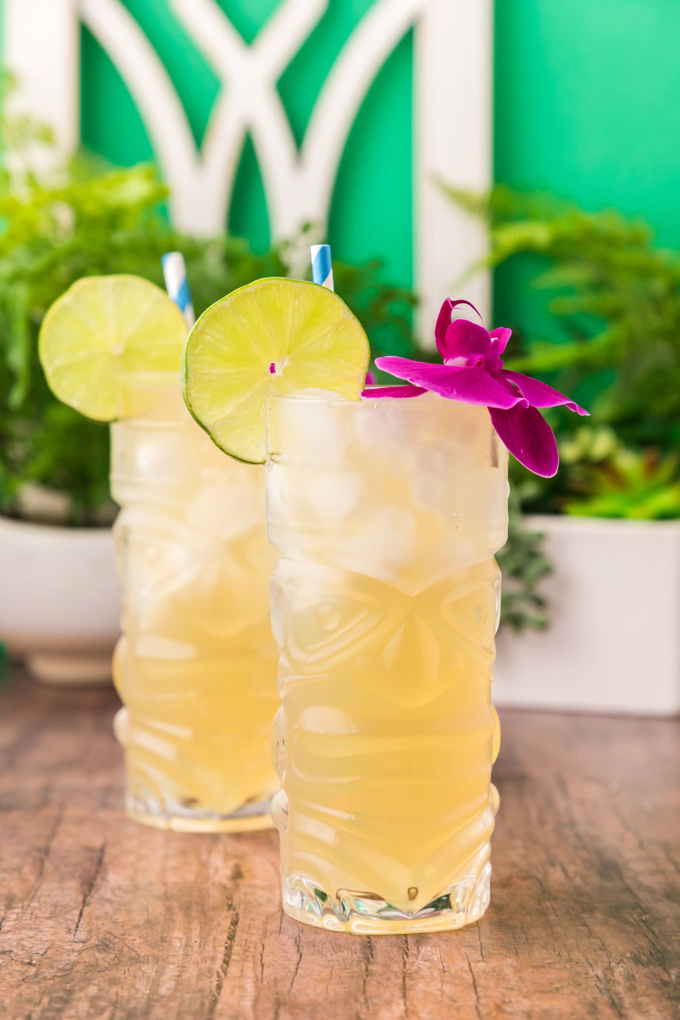 Jamaican Mule - Amanda's Cookin' - Cocktails