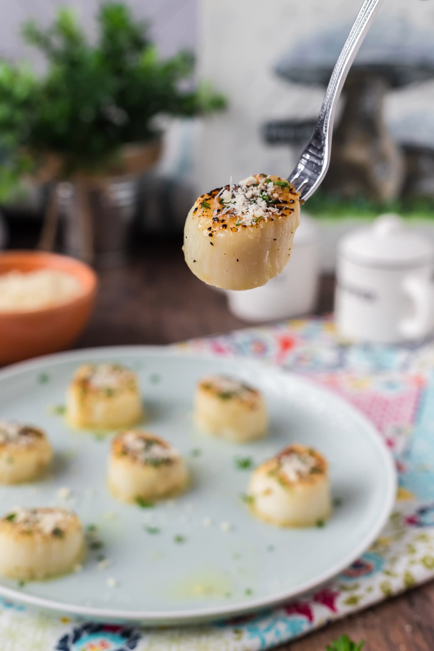 Broiled Scallops - Amanda's Cookin' - Fish & Seafood