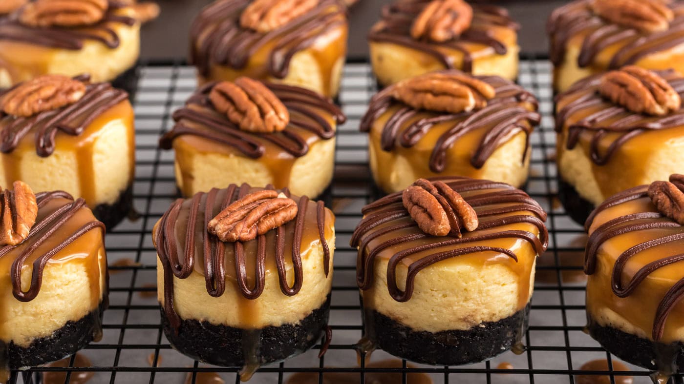 Mini Turtle Cheesecakes - Amanda's Cookin' - Cheesecakes