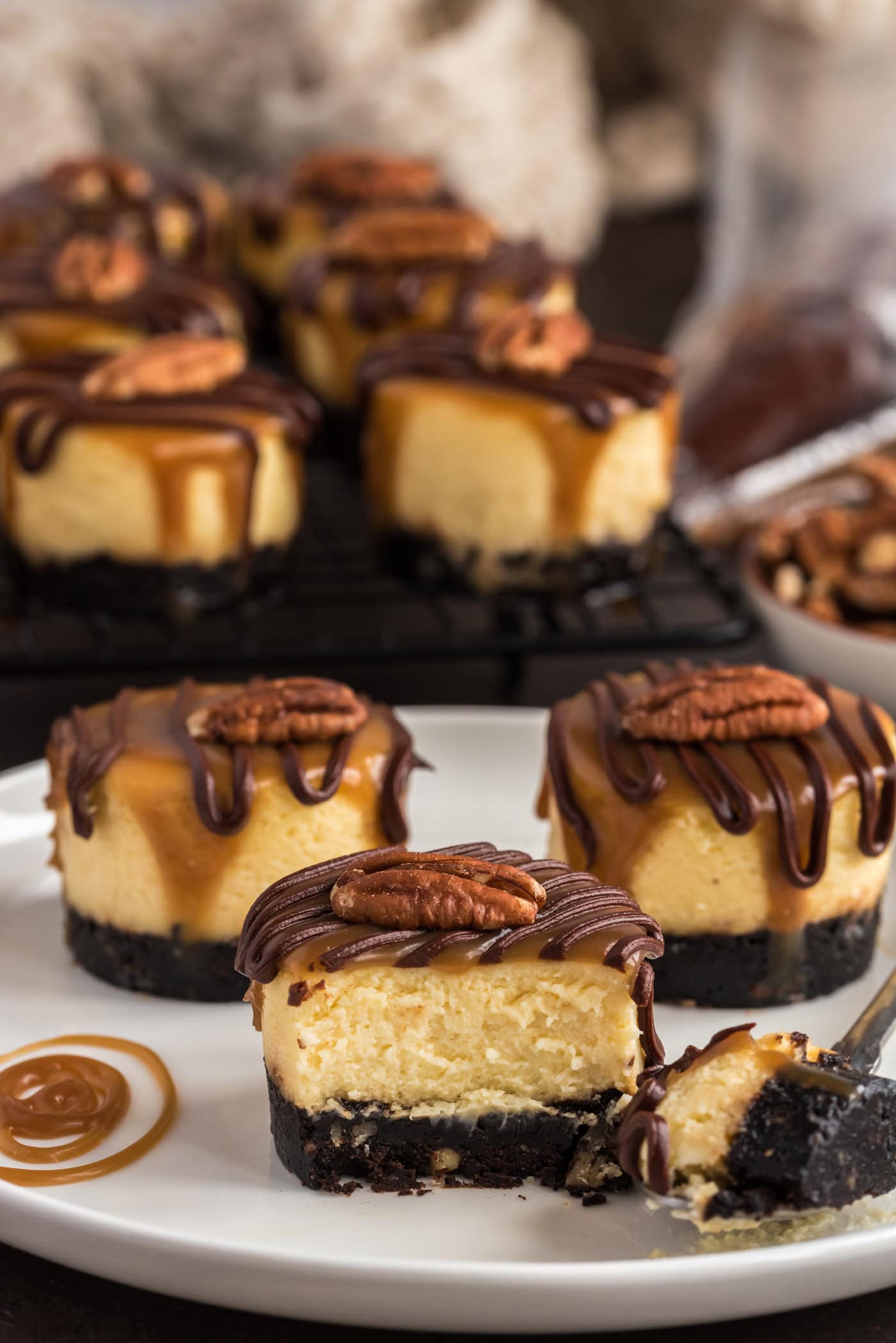 Mini Turtle Cheesecakes - Amanda's Cookin' - Cheesecakes