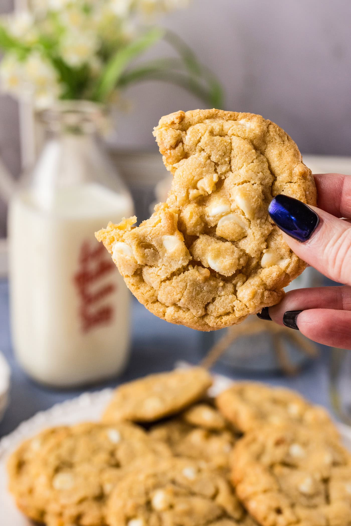 White Chocolate Macadamia Nut Cookies - Amanda's Cookin' - Cookies ...
